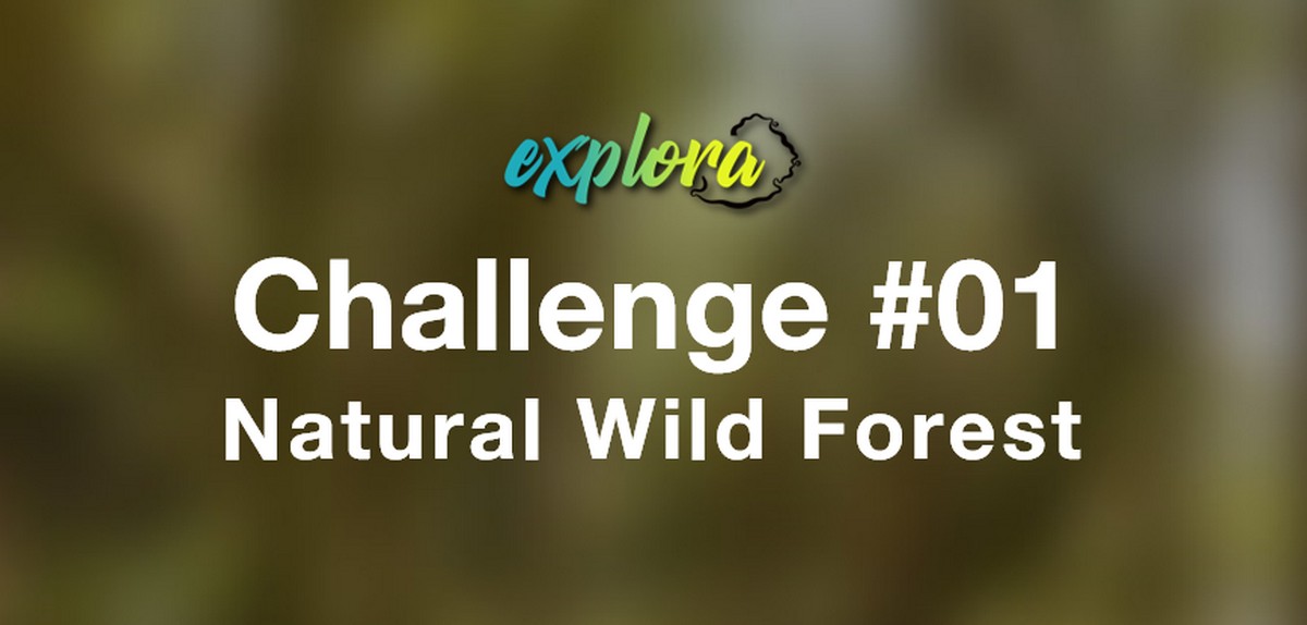 Challenge #01 - Natural Wild Forest