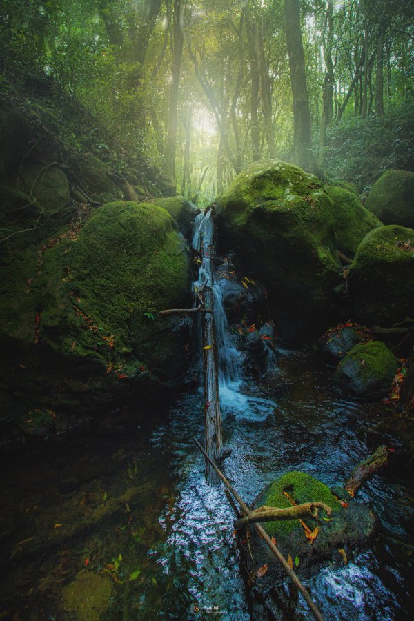 25 most amazing rivers in Mauritius