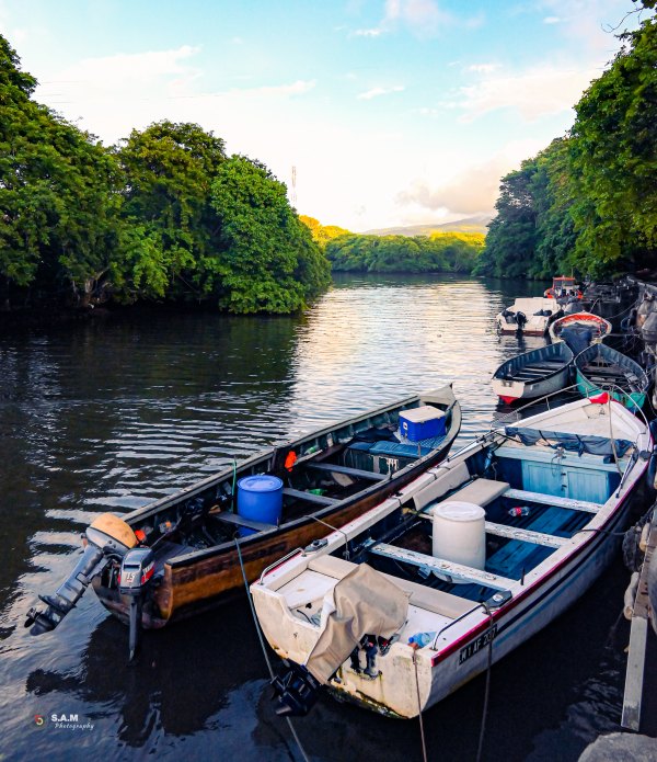 25 most amazing rivers in Mauritius