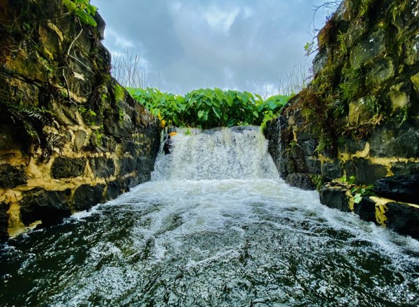 25 most amazing rivers in Mauritius