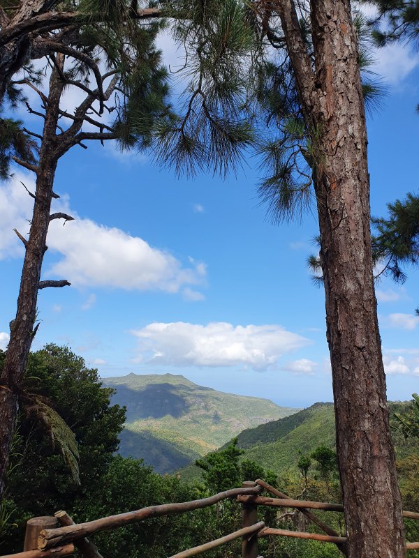 6 most amazing mountains of Mauritius