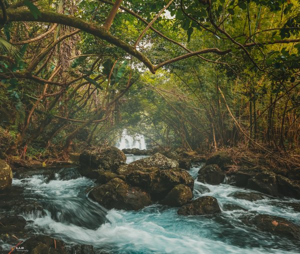 25 most amazing rivers in Mauritius