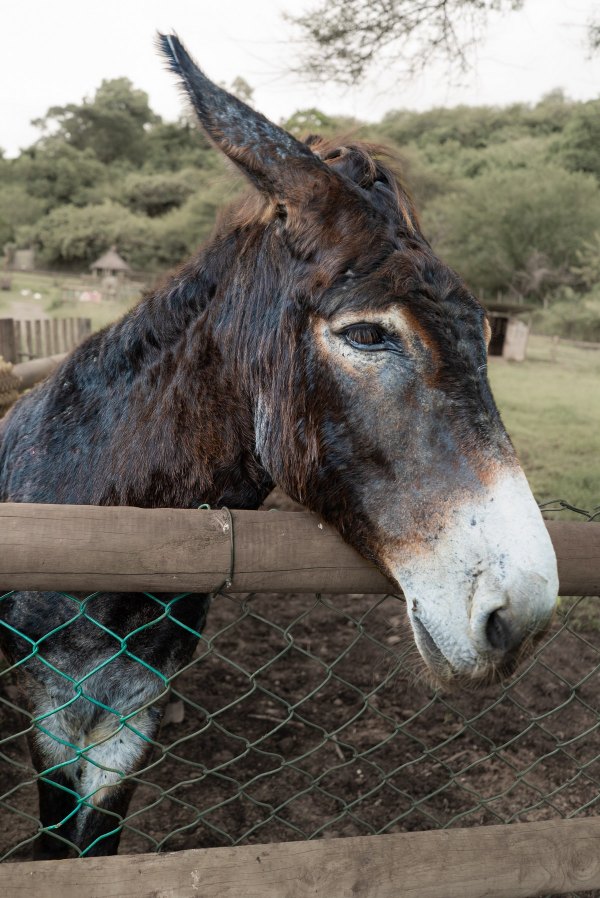 Casela Nature Parks & Zoo in Mauritius
