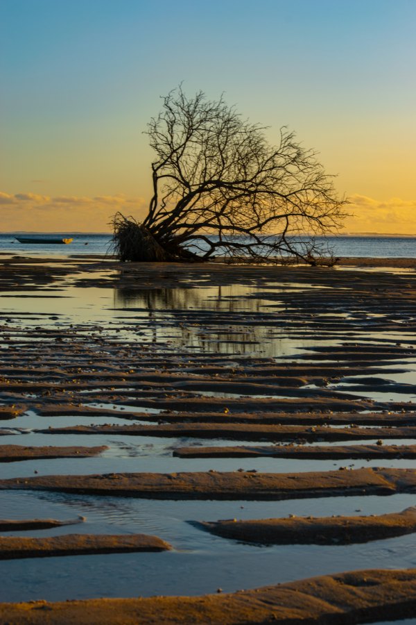 La Prairie the most amazing beaches of South of Mauritius