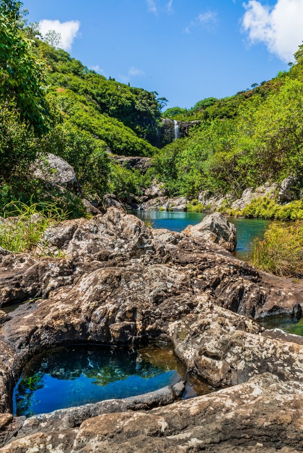 Forests and Nature Parks of Mauritius