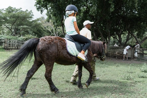 Casela Nature Parks & Zoo in Mauritius