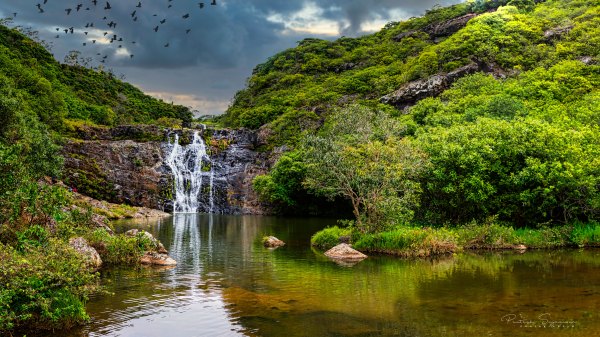 Forests and Nature Parks of Mauritius