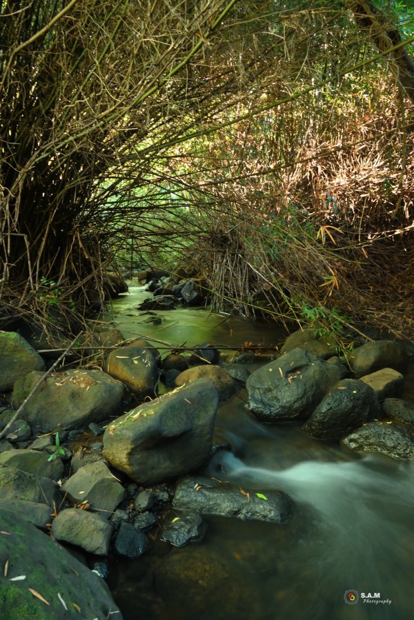 25 most amazing rivers in Mauritius