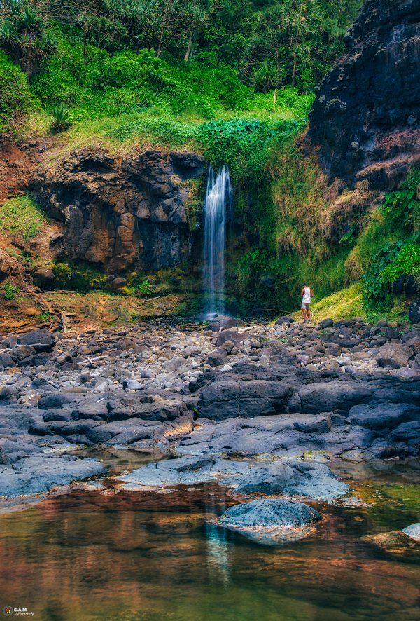 Forests and Nature Parks of Mauritius