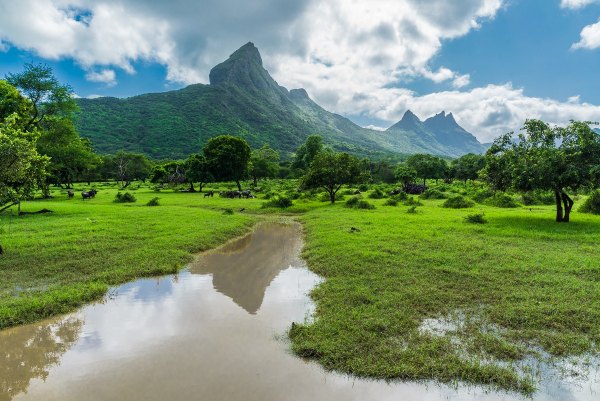 Forests and Nature Parks of Mauritius