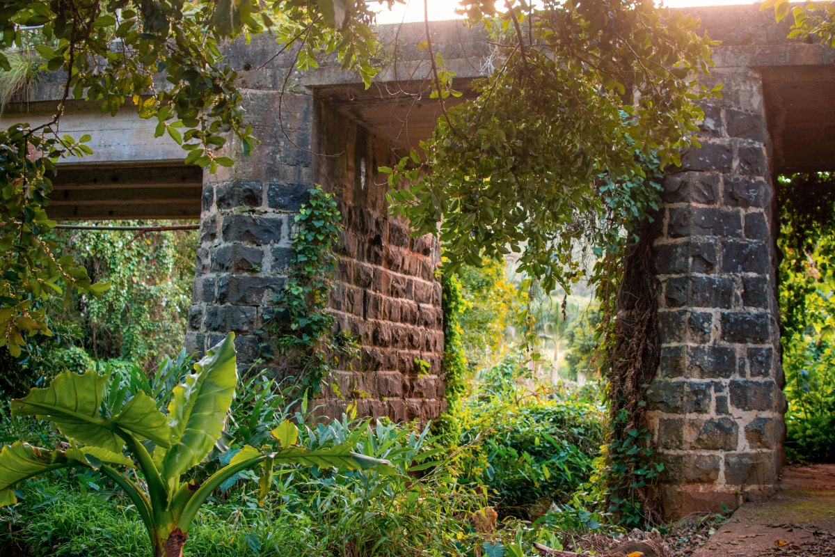 100+ Free Photos - Old vintage stone bridge in Saint Pierre