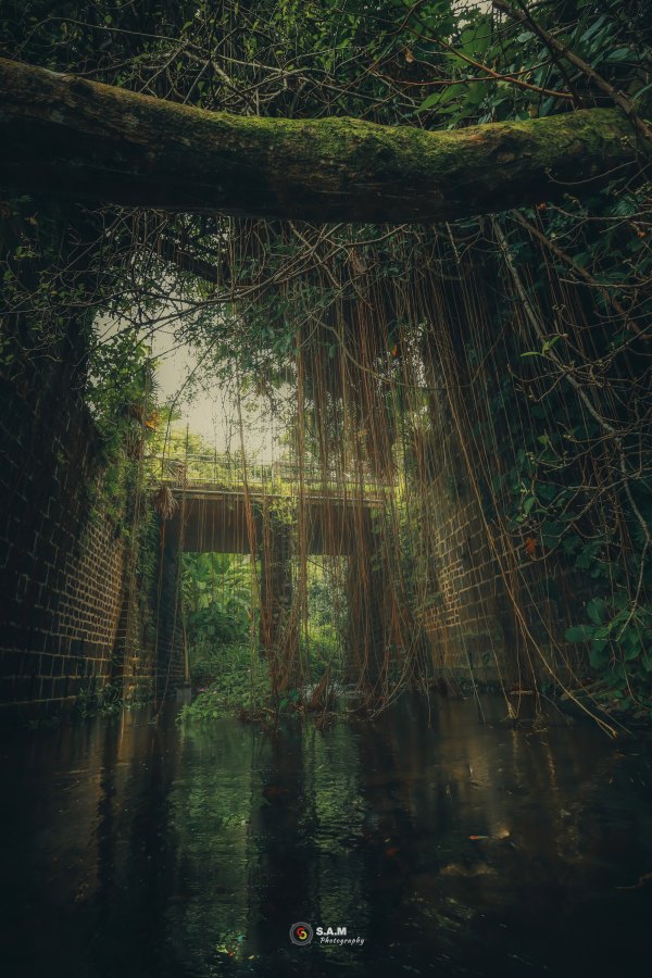 25 most amazing rivers in Mauritius