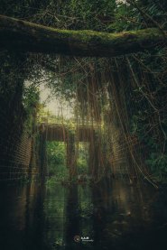 100+ Free Photos - Small waterfalls in River of Reduit