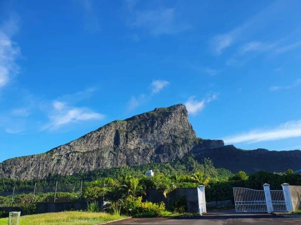 Forests and Nature Parks of Mauritius