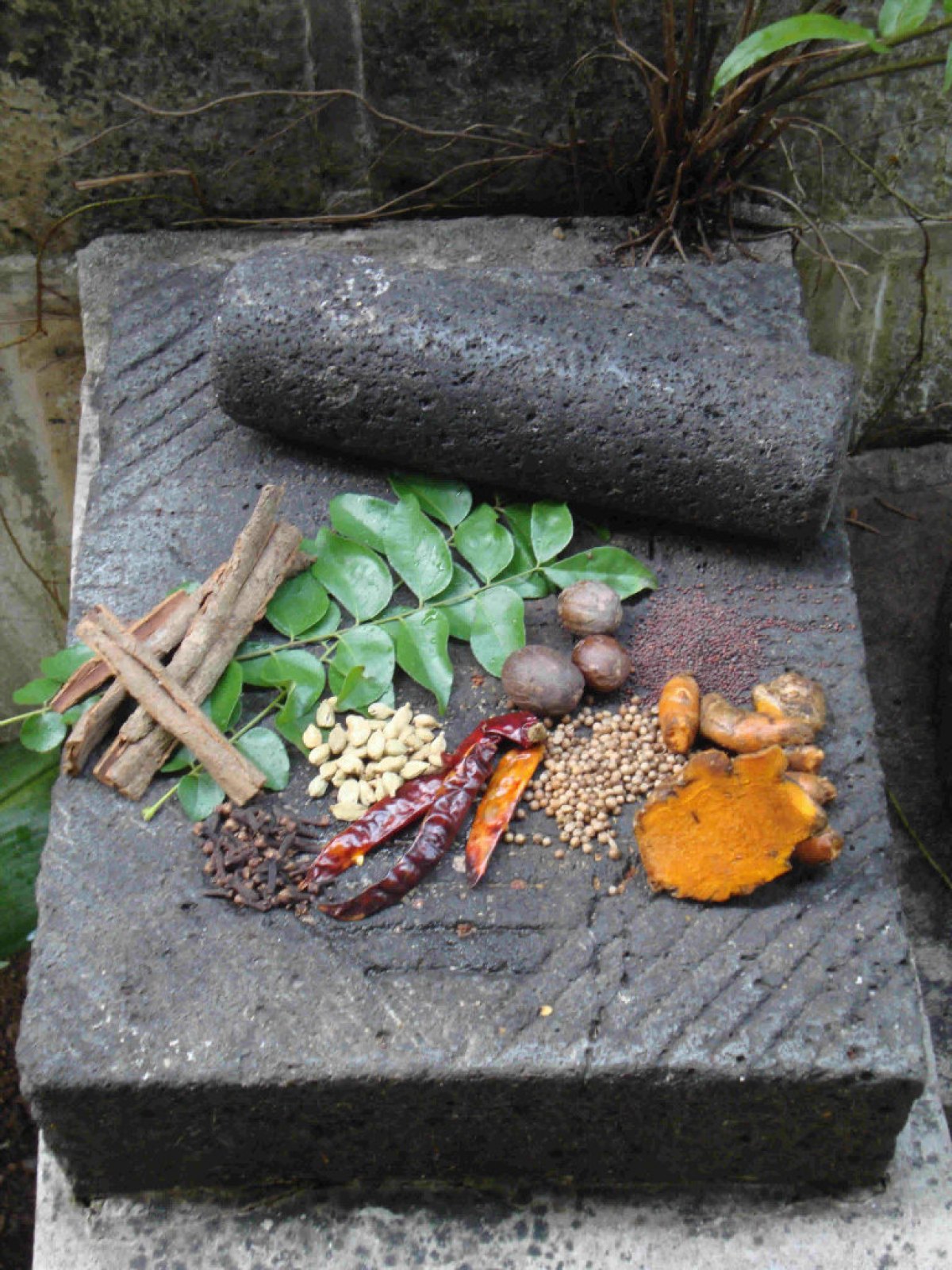 100+ Free Photos - Roche Cari or Ros Kari with spices - The Mauritian ...