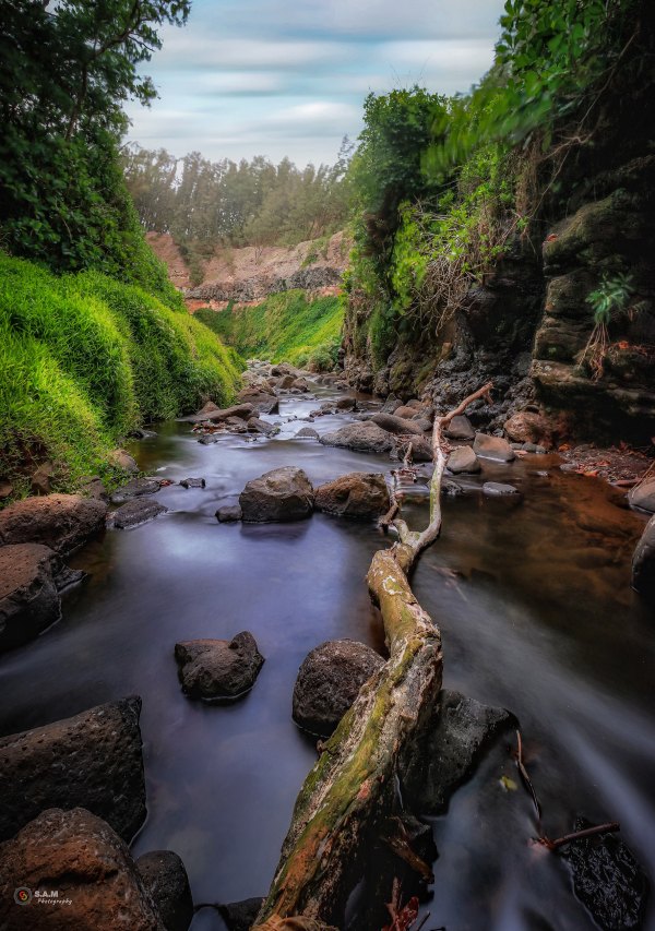 25 most amazing rivers in Mauritius