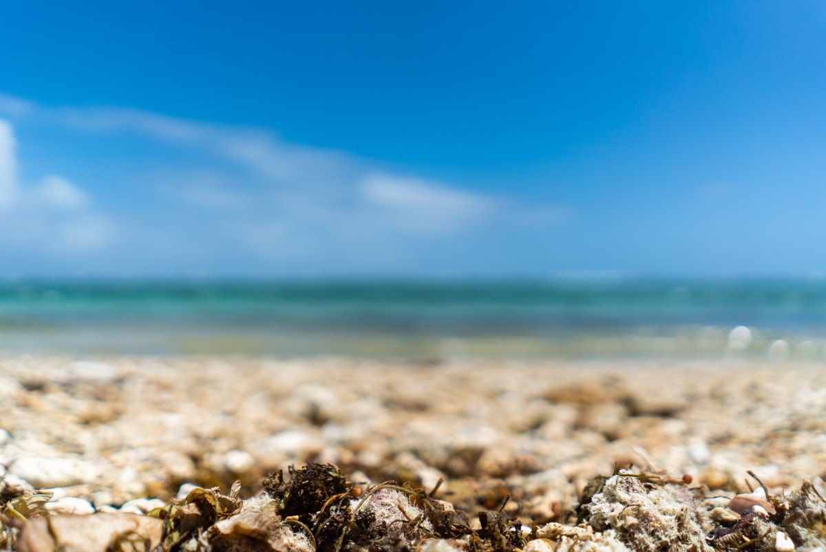 100+ Free Photos - Top Blurred seascape and wild beach