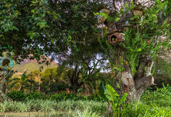 Casela Nature Parks & Zoo in Mauritius