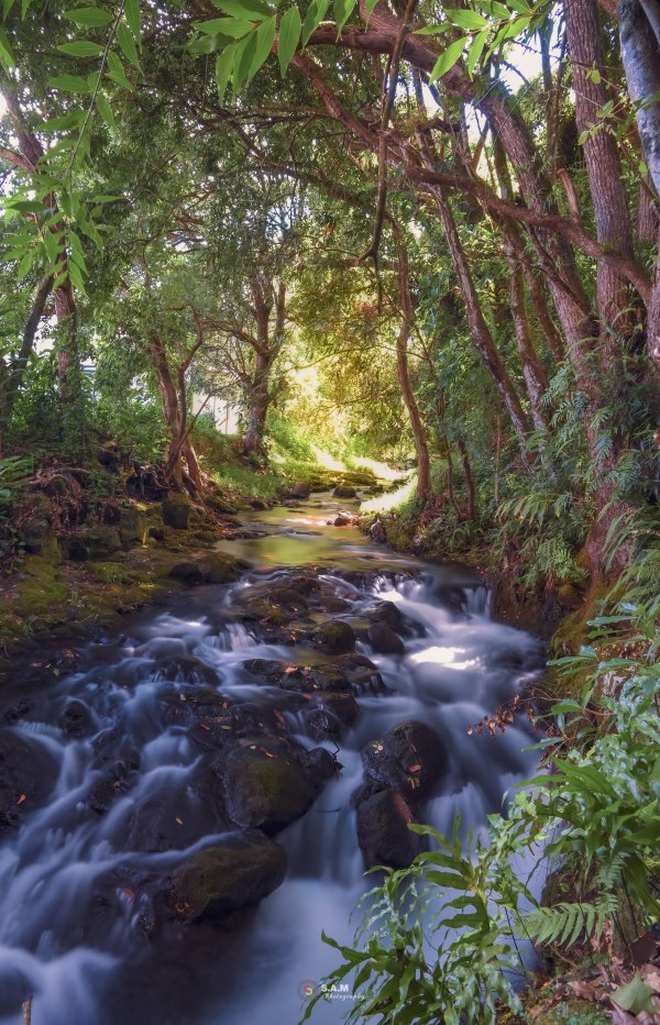25 most amazing rivers in Mauritius