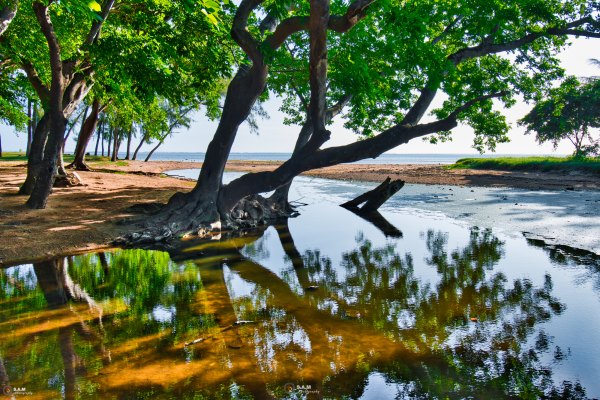 25 most amazing rivers in Mauritius