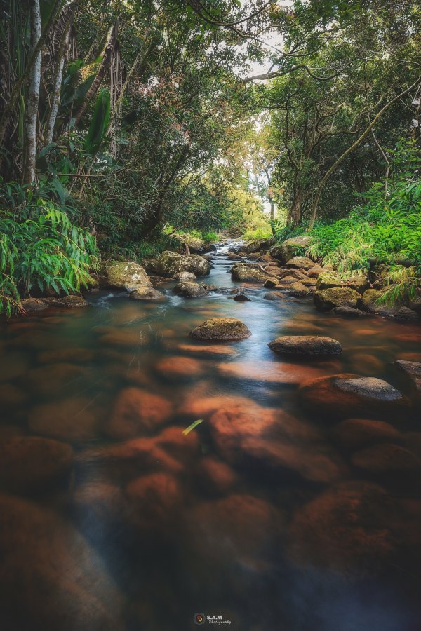 25 most amazing rivers in Mauritius