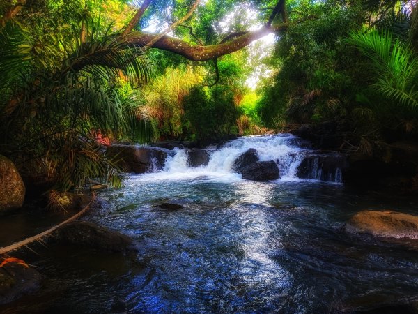 25 most amazing rivers in Mauritius