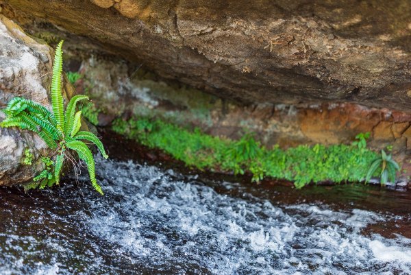 MoTrek - Adventures around Mauritius